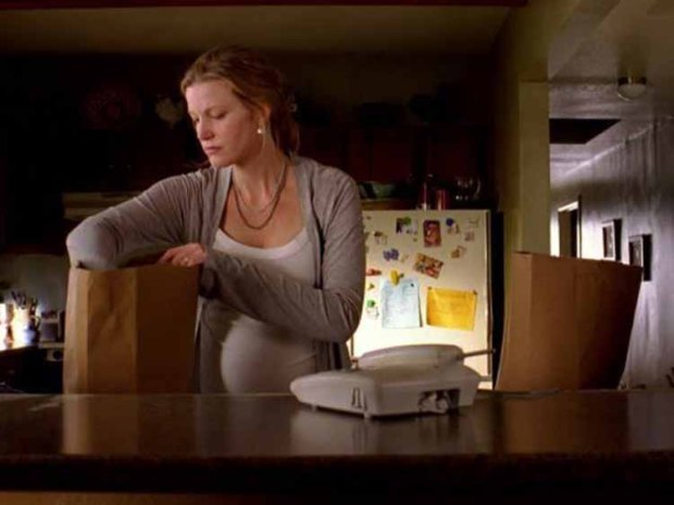 Skyler White, el personaje que aún todos odiamos | LINNE